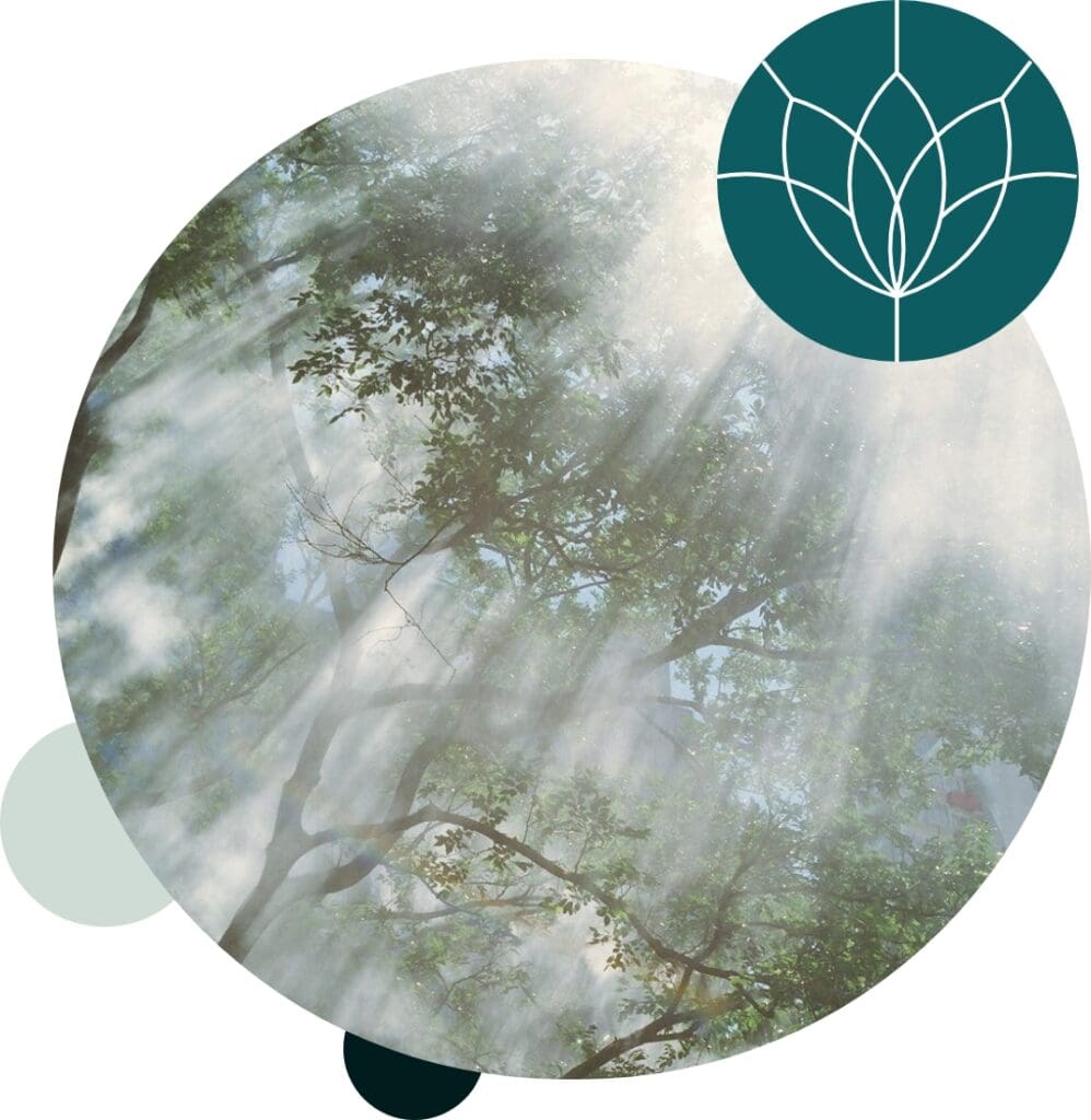 HPV treatment UK - Vaginal Health - Papilocare - Liv Bio